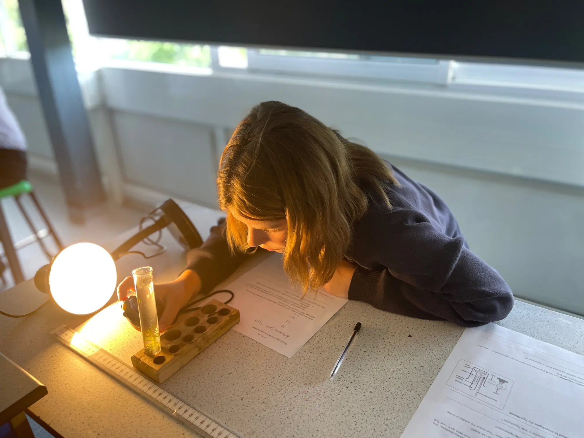 Homework - Applemore College